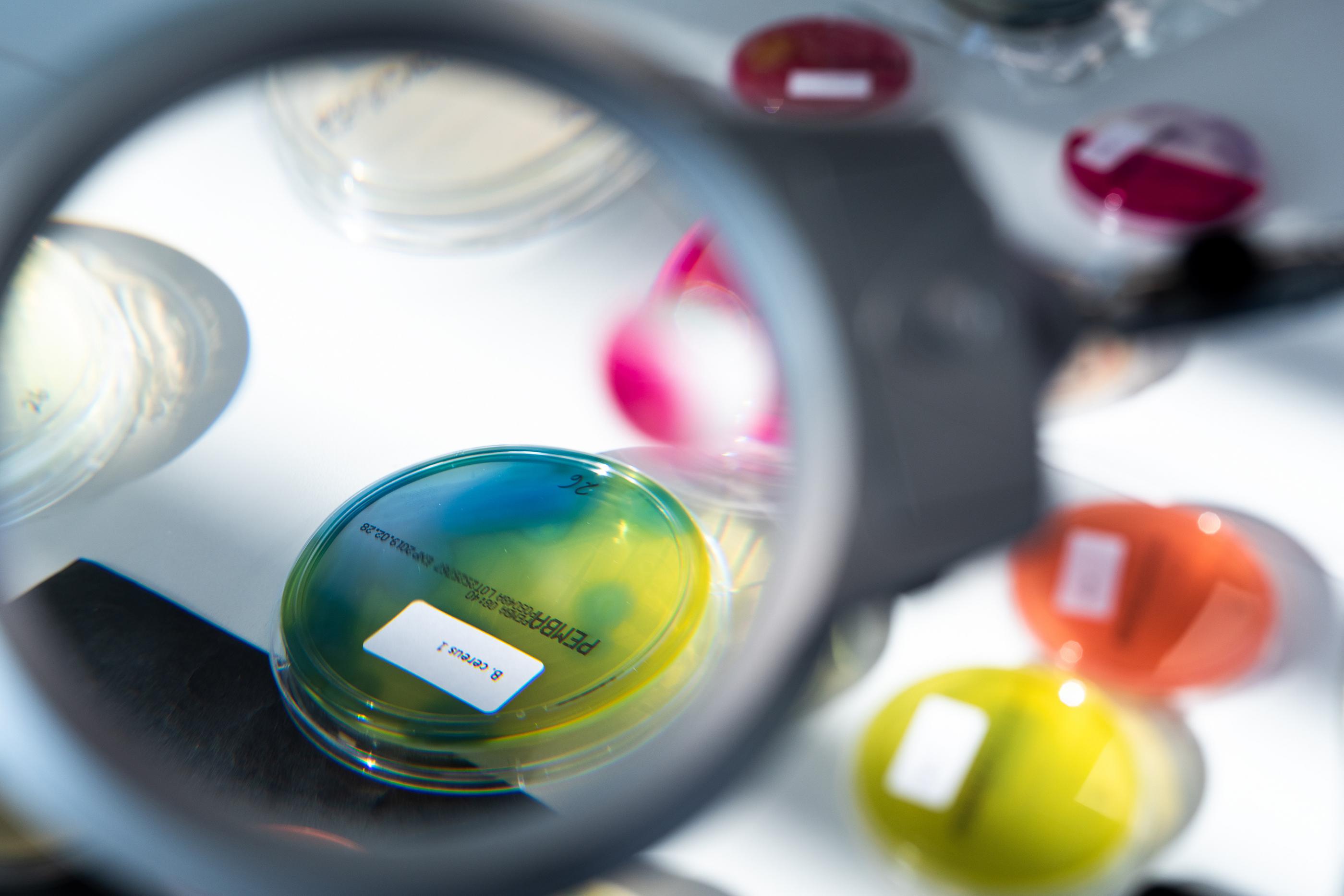 Servicios de laboratorio a nivel mundial de Grupo Tentamus